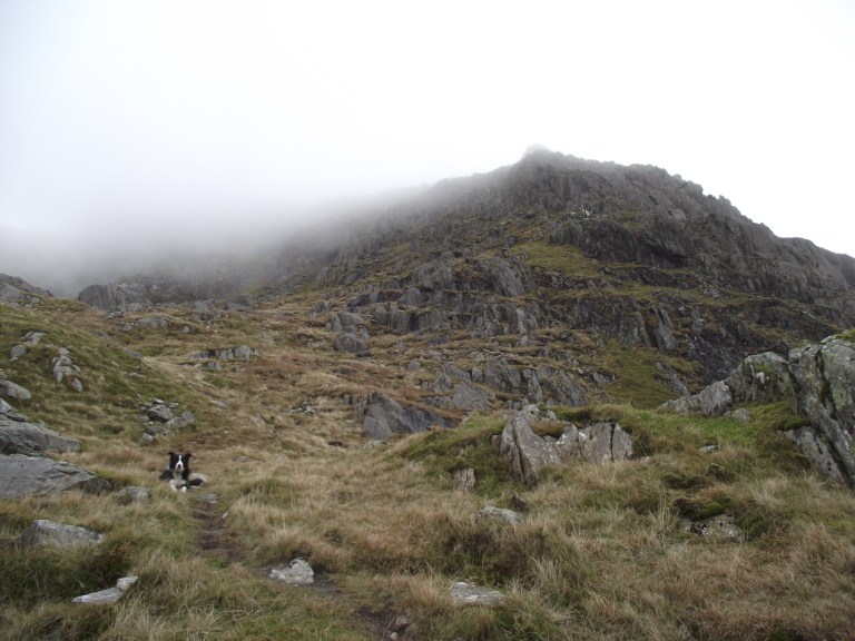 #145 – More wanderings in the Glyderau – Seniors Ridge with the dog ...