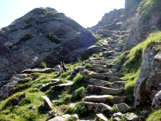 #156 – Y Garn and Foel Goch in the Glyderau | Paul Shorrock – One Man's ...