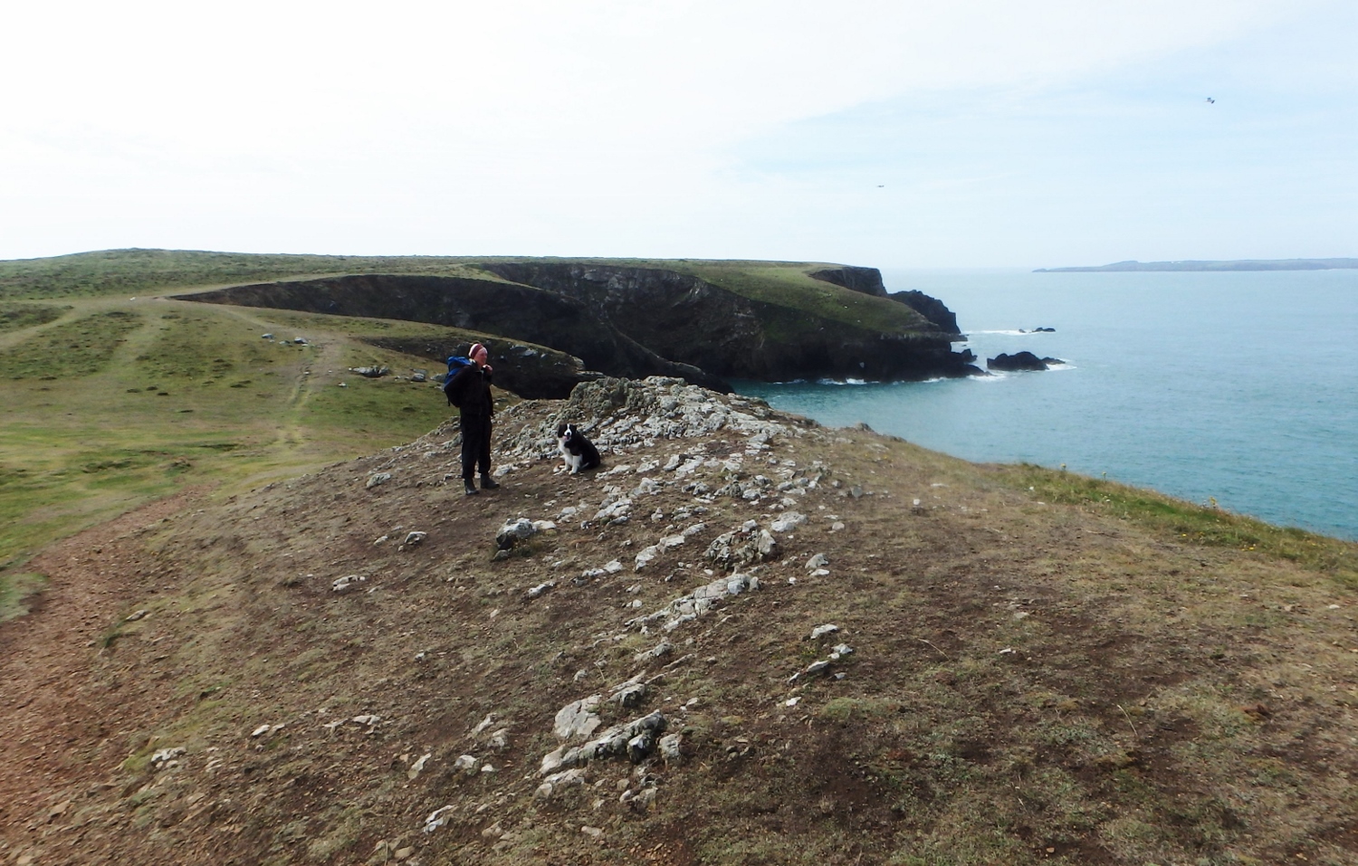 #207 – Pembrokeshire Coastal Path, Part 2 – Wooltack Point and Marloes ...