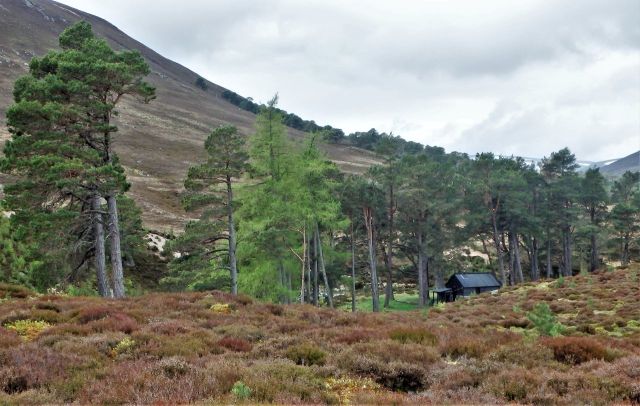 #258 – Bob Scott’s Bothy | Paul Shorrock – One Man's Mountains AKA One ...
