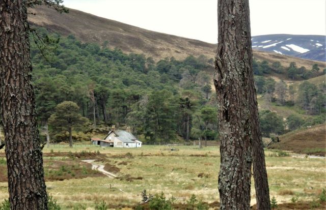 #258 – Bob Scott’s Bothy | Paul Shorrock – One Man's Mountains AKA One ...