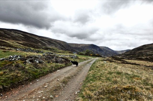 #259 – Callater Stables Bothy and the Jock’s Road Tragedy of 1959 ...
