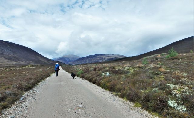 #258 – Bob Scott’s Bothy | Paul Shorrock – One Man's Mountains AKA One ...