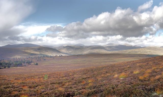 #332 – Creag Bhalg ….on the trail of the lonesome pine | Paul Shorrock ...